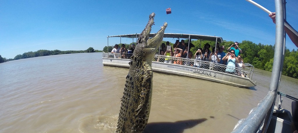 Darwin Travel Guide | Things to do in Darwin, Northern Territory